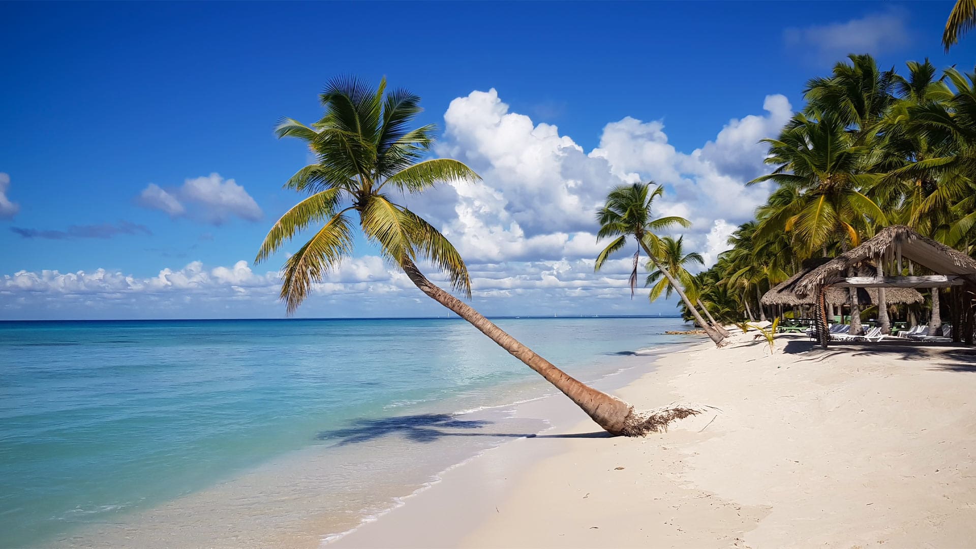 Rundreisen Dominikanische Republik | individuell kombinieren | SunTrips