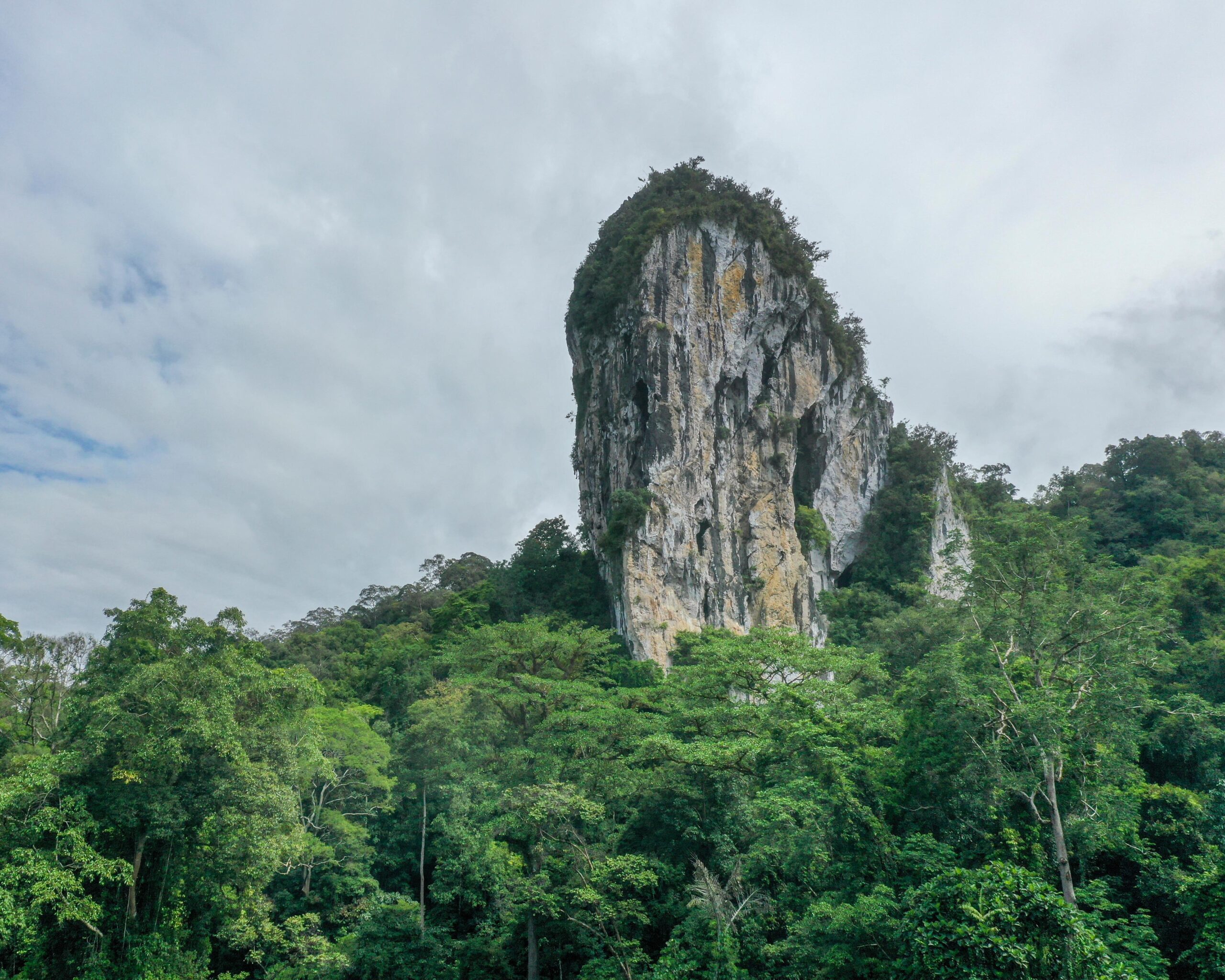 Sapulut | Individuelle Rund- & Kombireisen | SunTrips